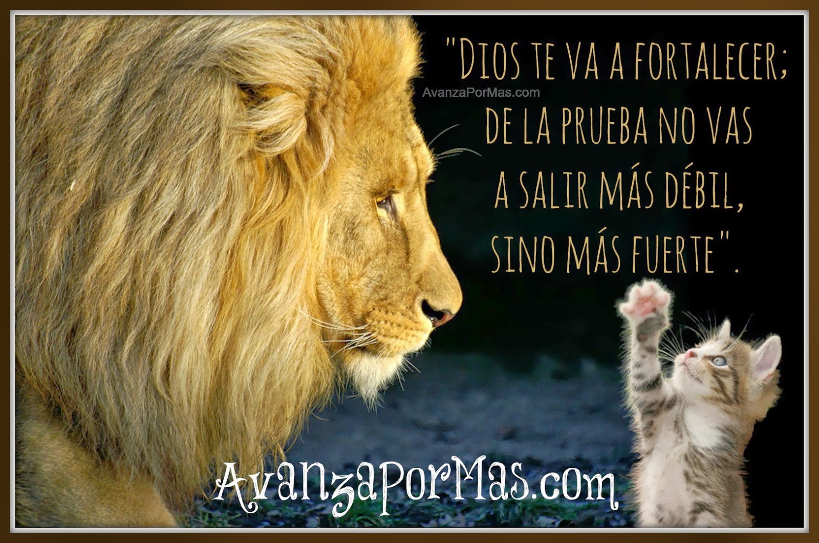 Imágenes cristianas con frases el señor te fortalece