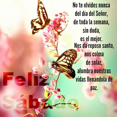 Imágenes de feliz sábado bendiciones