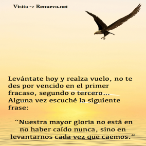 Imágenes con frases en la vida triunfa el que persevera