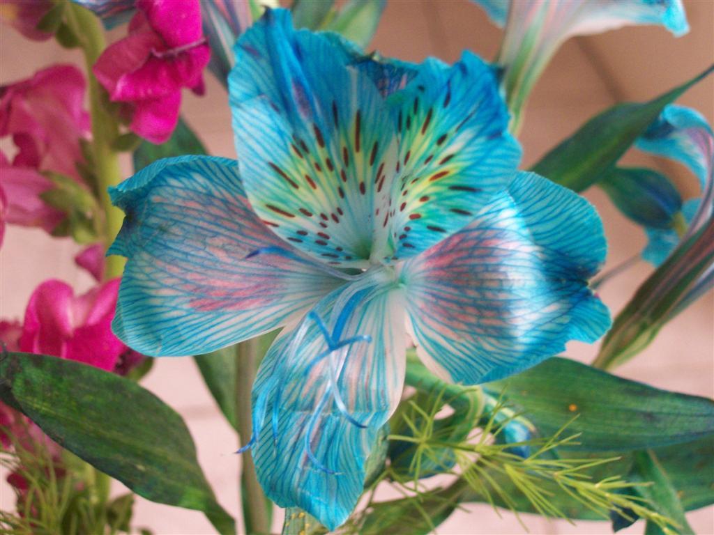 Imágenes de flores hermosas