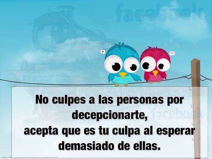 Imagenes de coraje y decepción